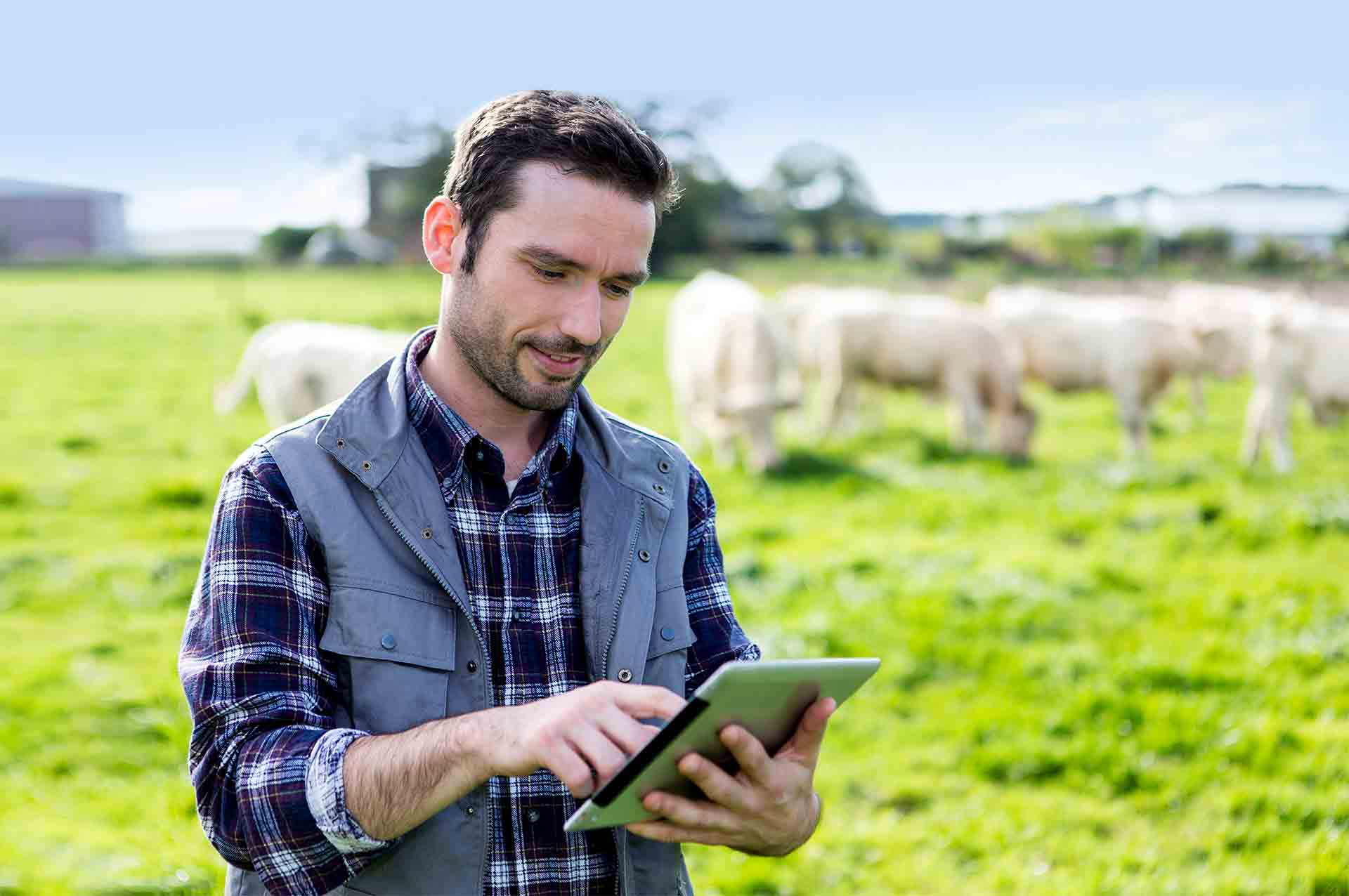 Zootecnista: conheça a importância dessa profissão milenar - Boitel ...